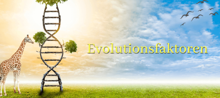 Evolutionsfaktoren – die 5 wichtigsten Mechanismen im Überblick