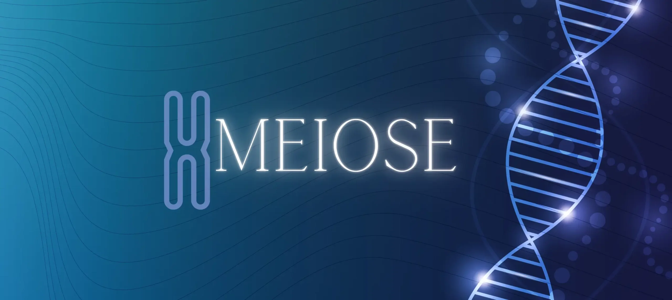 Meiose Cartoon