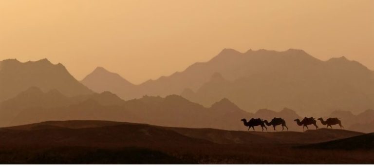 Alles, was du über Wüsten wissen musst - einfach erklärt