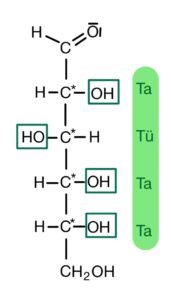 Glucose - Aufbau, Eigenschaften und Schreibweisen