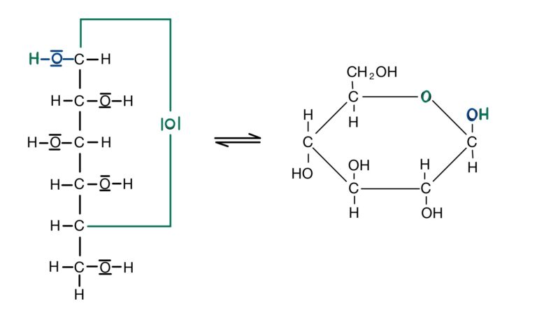 Glucose - Aufbau, Eigenschaften und Schreibweisen