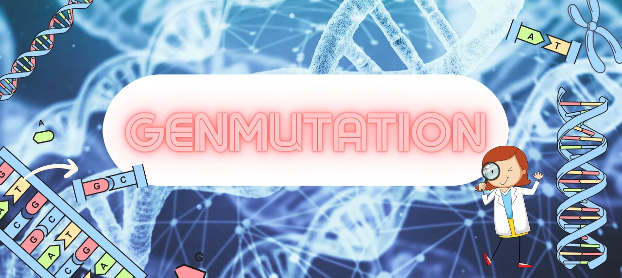 Genmutation - Definition, Arten und Beispiele