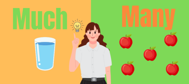 Much Und Many Unterschied | some/any/much/many Regeln einfach erklärt ...